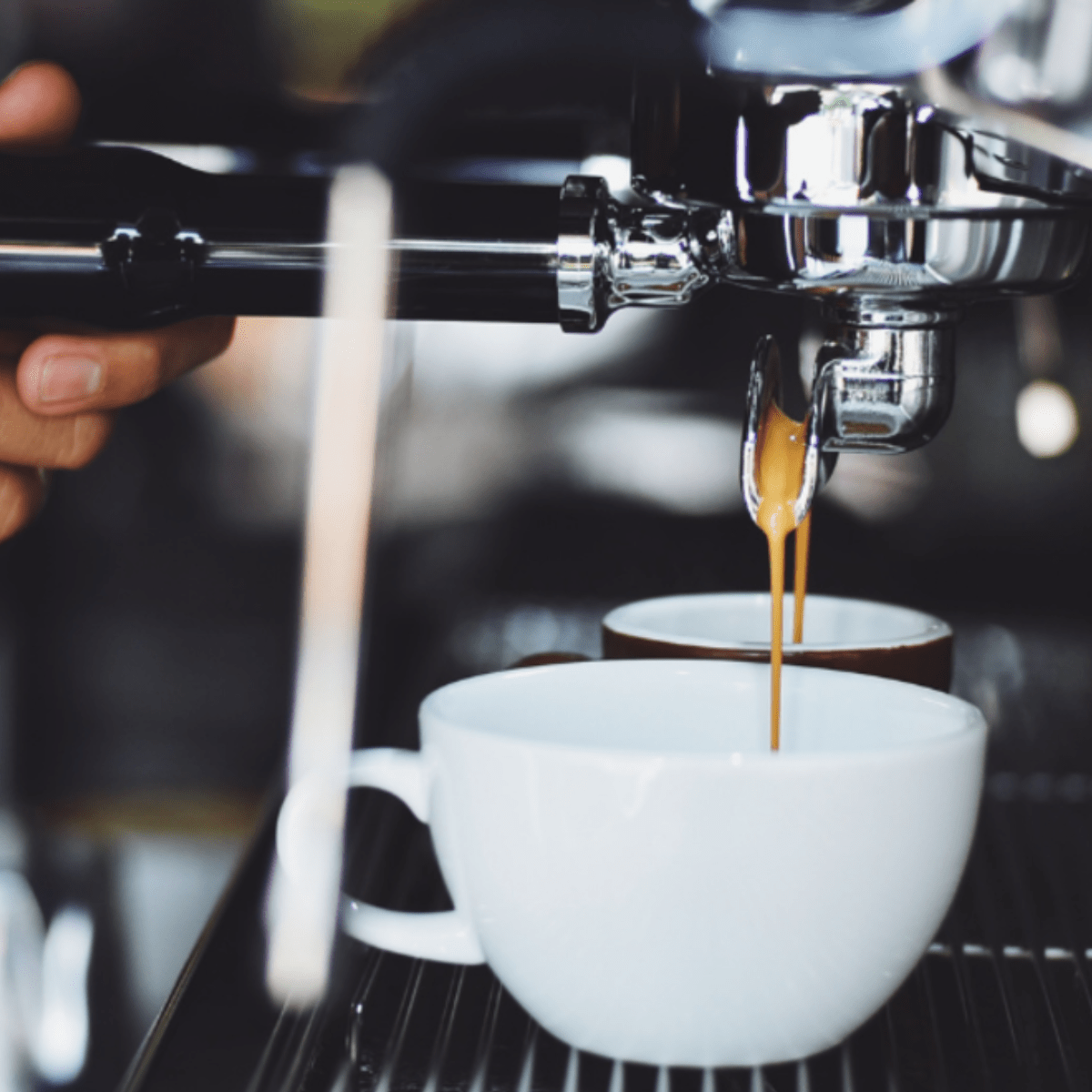 Hallo Franchise » Franchiseformules Doppio Espresso, Barista Cafe en ...